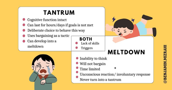 Temper Tantrums VS Meltdowns - Benjamin Mizrahi